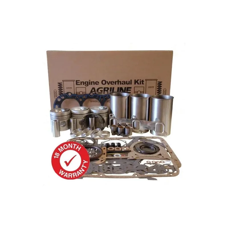 KIT DE REVISION MOTEUR POUR TRACTEUR FORD 4000, 4600, 4110