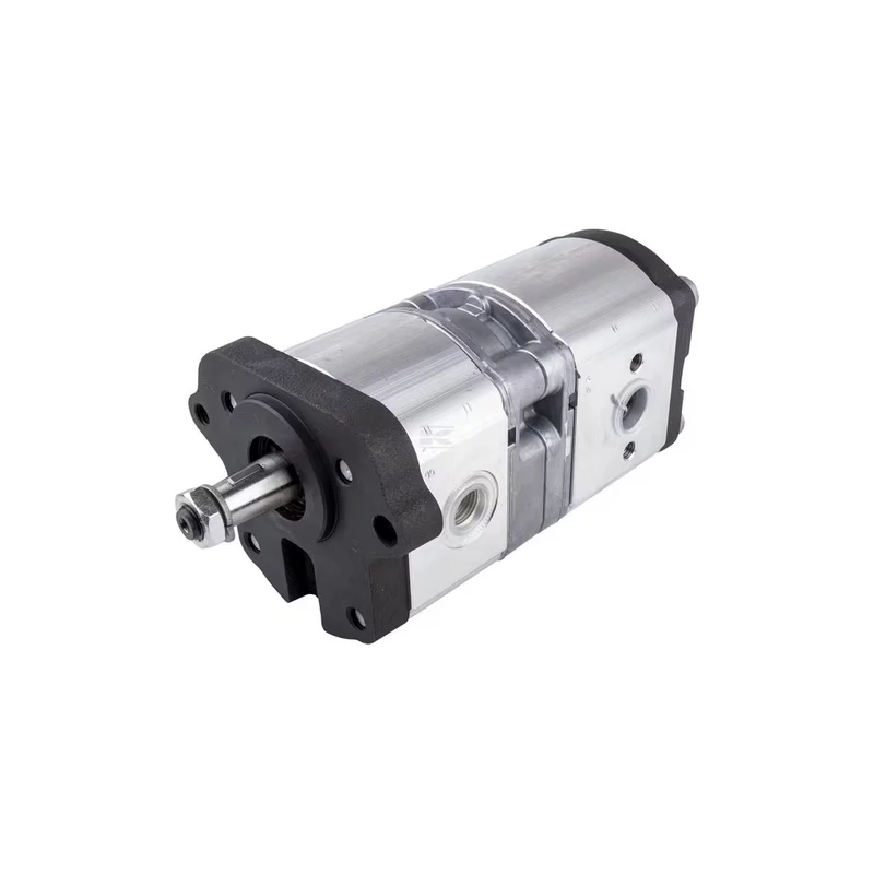 POMPE HYDRAULIQUE DOUBLE POUR LANDINI MC CORMICK 3661228M91