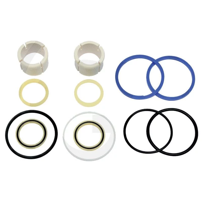 Cilindro dello sterzo per trattori agricoli economici, guarnizione, kit ...