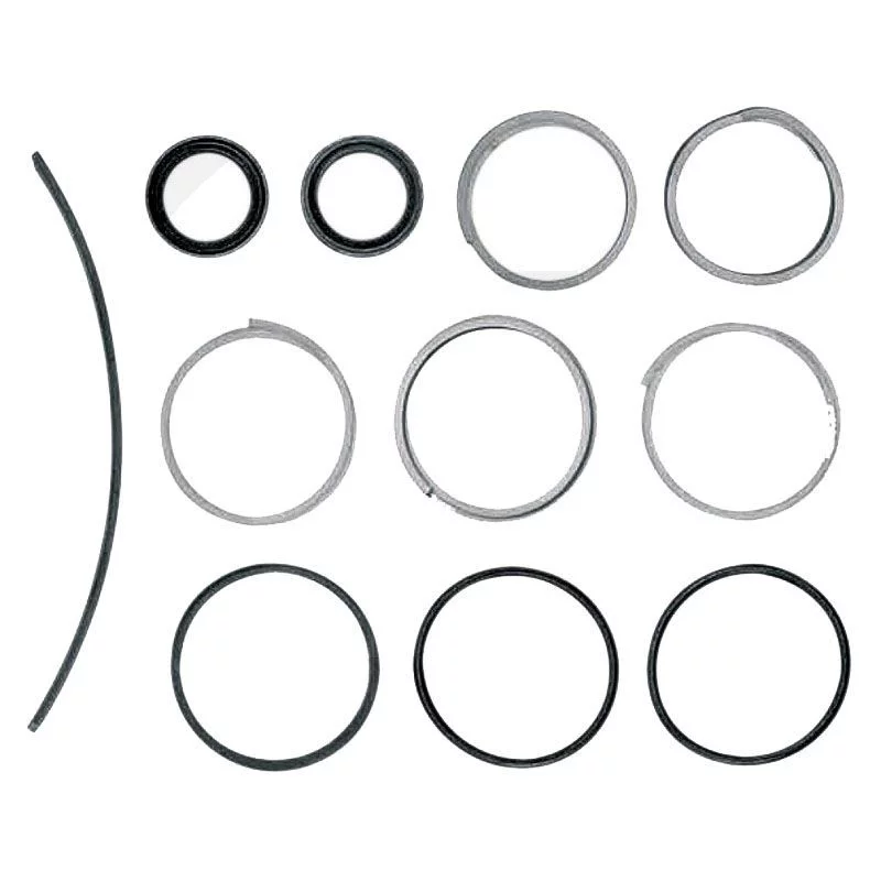 KIT DE RETENES DE CILINDRO DE DIRECCIÓN 83957762 PARA CASE IH