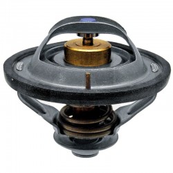 Thermostat 84383461 pour case