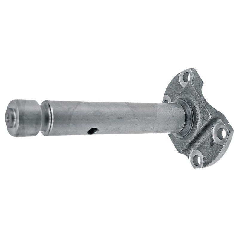 Flange pin for pottinger tedder - 7006581589