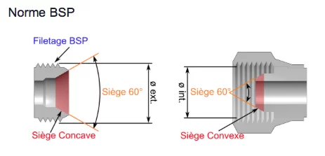 Raccords à sertir hydraulique BSP en pouces